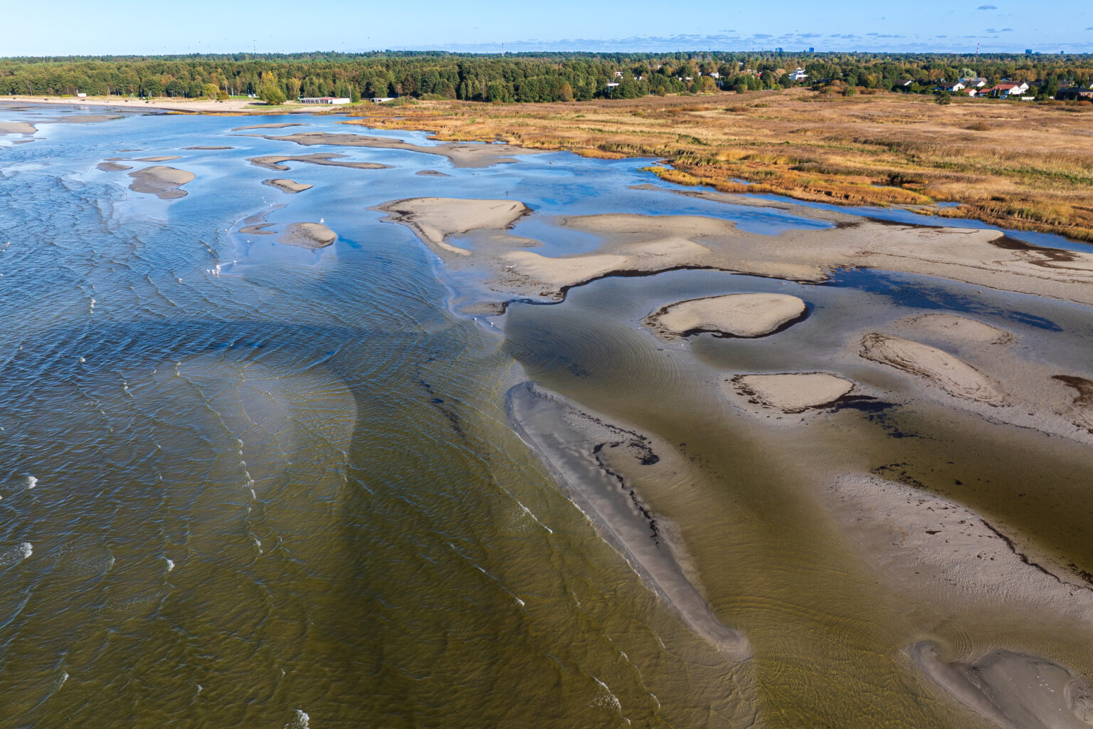 Kakumäe piirkond | Kakumäe Paradiis